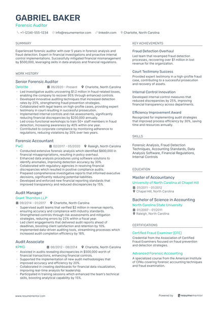 Auditor Resume Examples - Free to Edit ATS-Friendly PDF - 2025