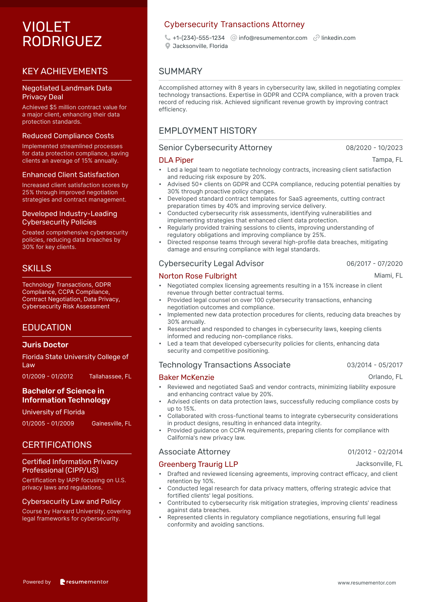 Tech Transactions Lawyer Resume Example - Free to Edit ATS-Friendly PDF ...