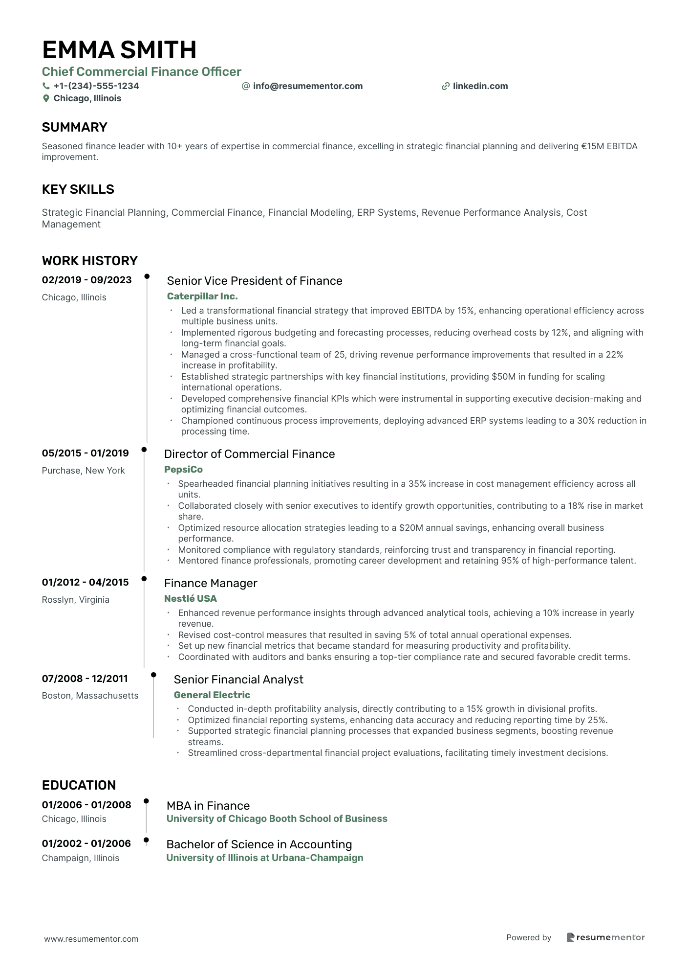 Chief Commercial Officer (CCO) Resume Example - Free to Edit ATS ...