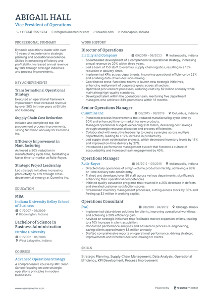 Vice President (VP) Resume Examples To Get You Hired in 2025