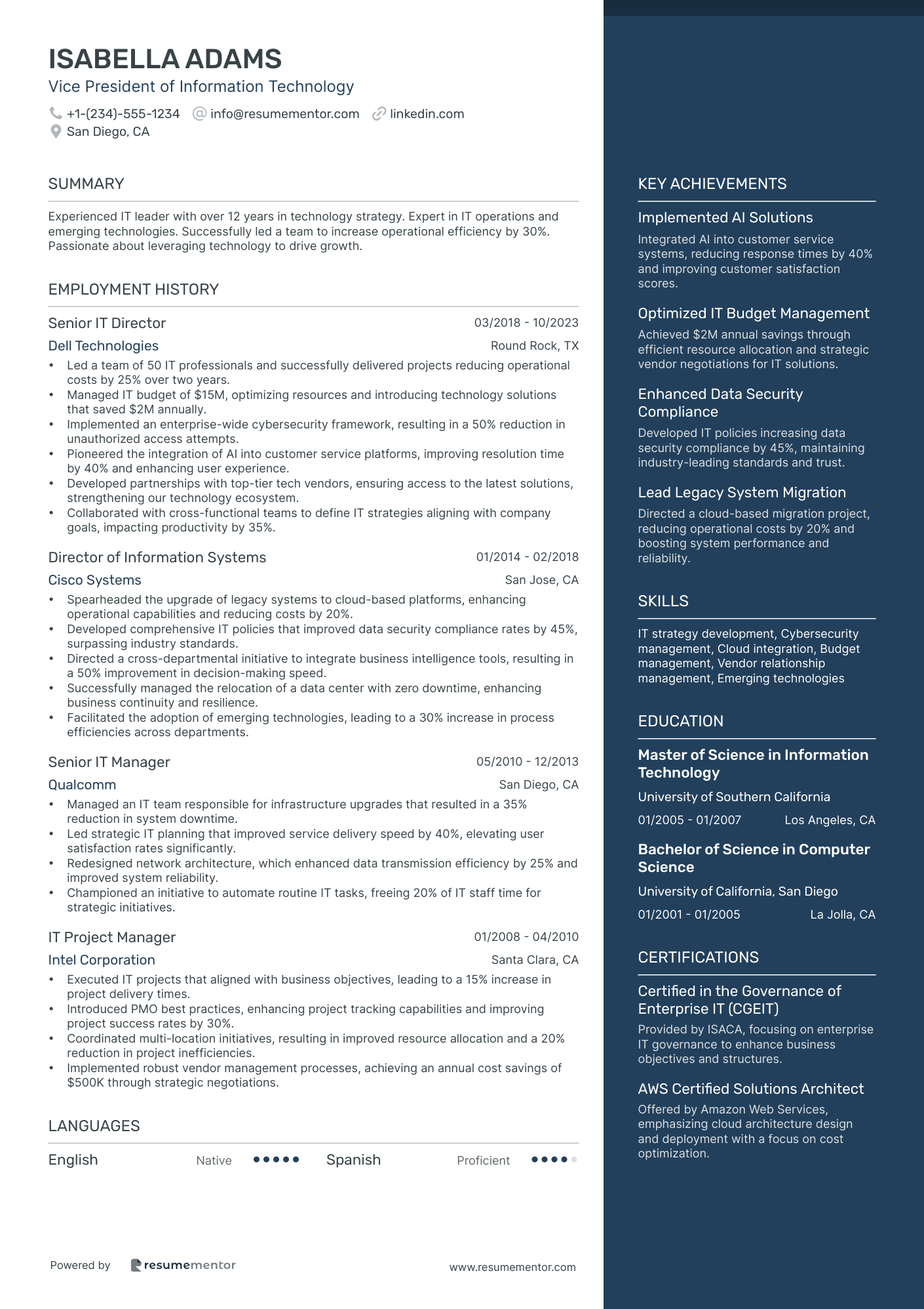 Vice President (VP) Resume Examples To Get You Hired in 2025