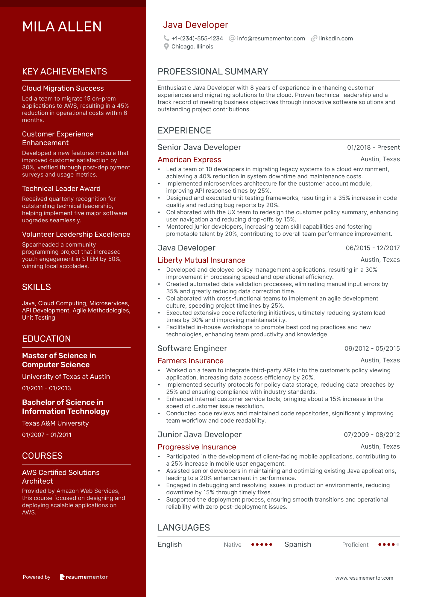 39 Developer Resume Examples To Get You Hired in 2024