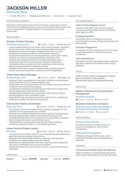28 Executive Resume Examples To Get You Hired in 2024