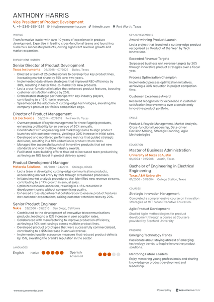 Vice President (VP) Resume Examples To Get You Hired in 2025
