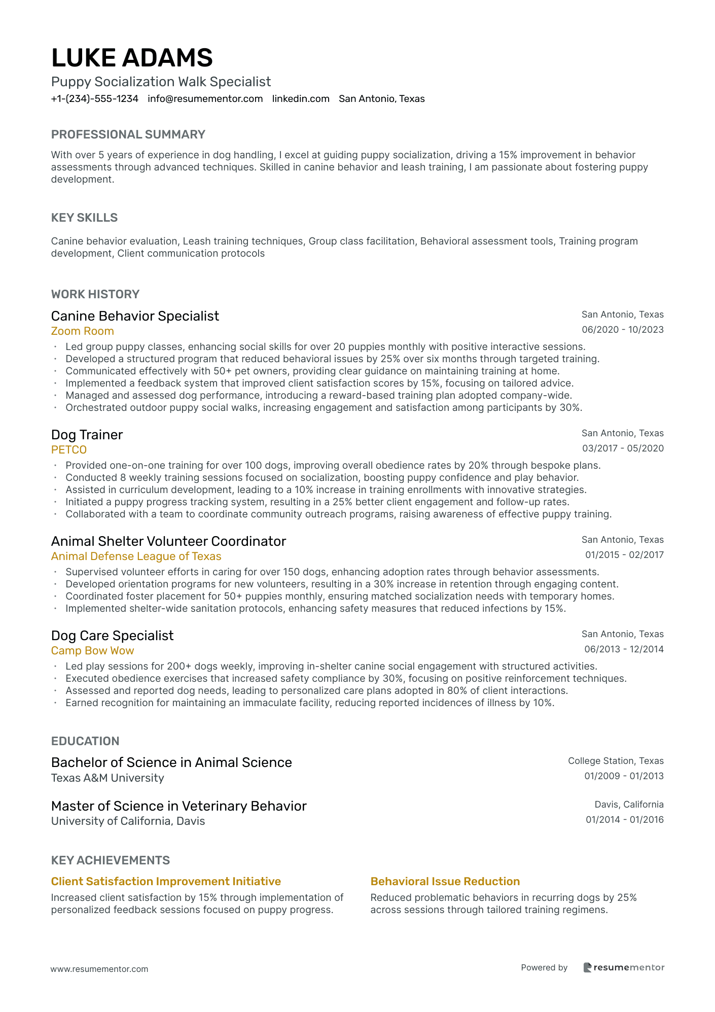 Dog Walker Resume Examples - Free to Edit ATS-Friendly PDF - 2025