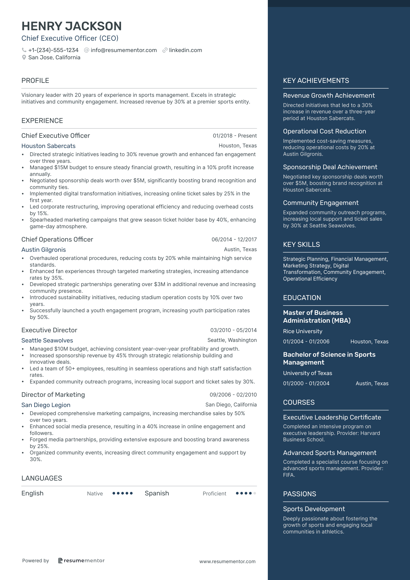 28 Executive Resume Examples To Get You Hired in 2024