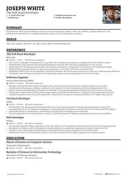 .Net Developer Resume Example - Free to Edit ATS-Friendly PDF - 2025