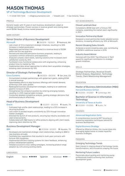 VP of Business Development Resume Example - Free to Edit ATS-Friendly ...