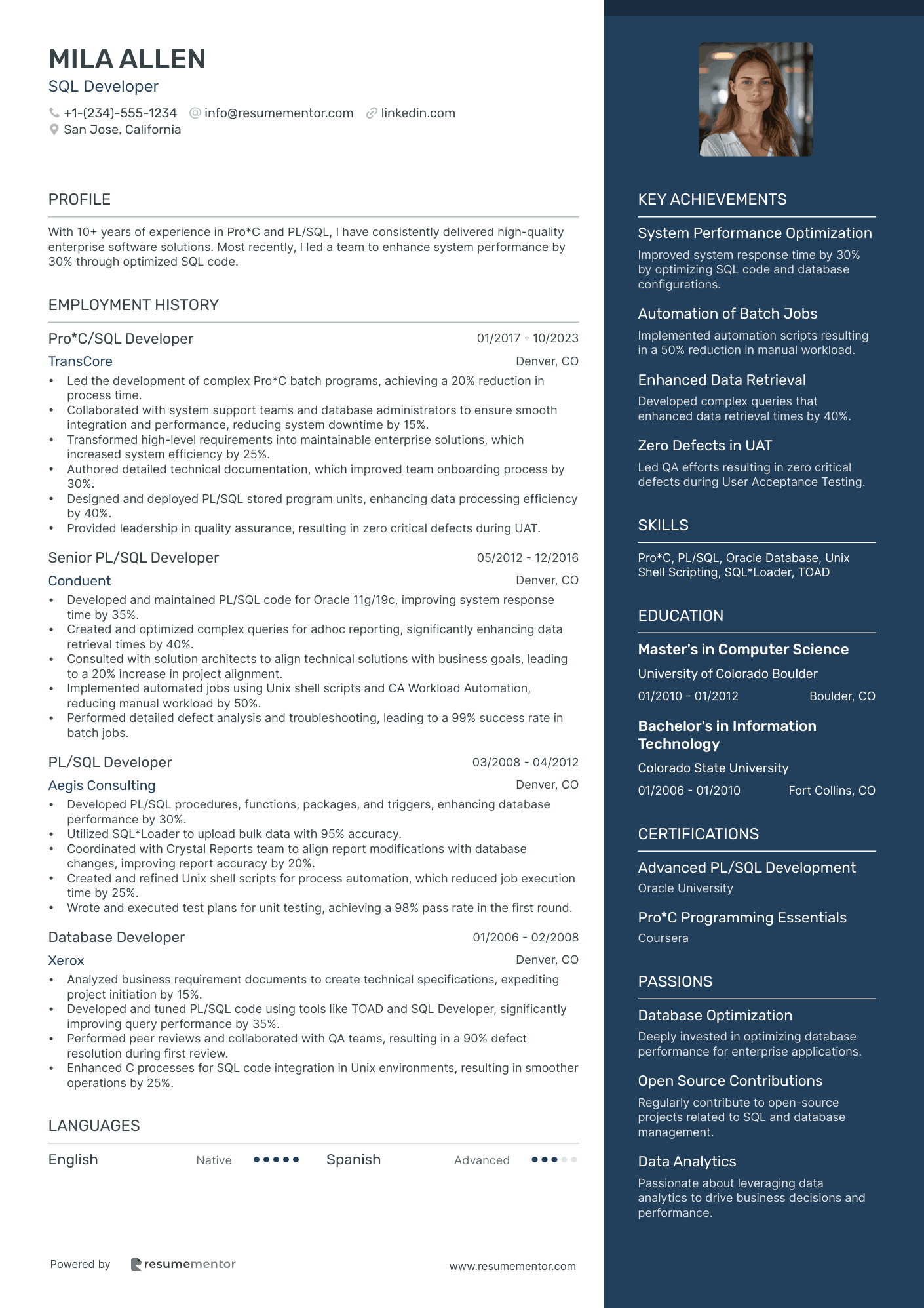 39 Developer Resume Examples To Get You Hired in 2024