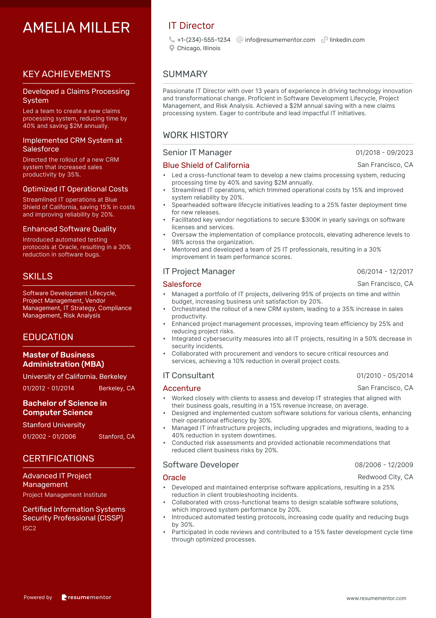 19 IT Resume Examples To Get You Hired in 2024