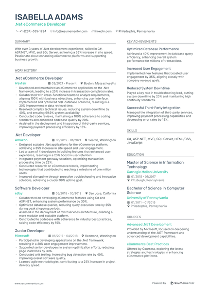 .Net Developer Resume Example - Free to Edit ATS-Friendly PDF - 2025