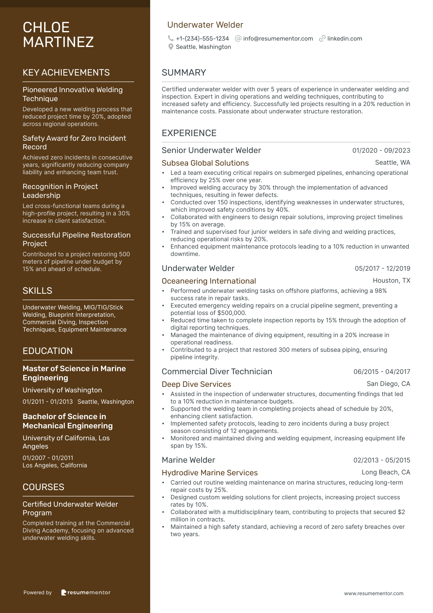 Welder Resume Examples Welding Resume Template